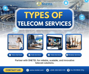 Types and Benefits of Telecom Services You Should Know – SNETEL